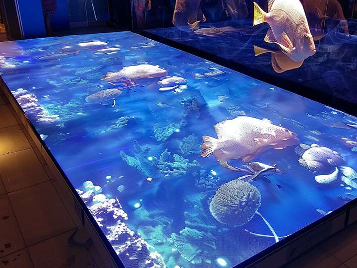 Interactive LED Screen Floor - Engage Your Guests | Shop Now